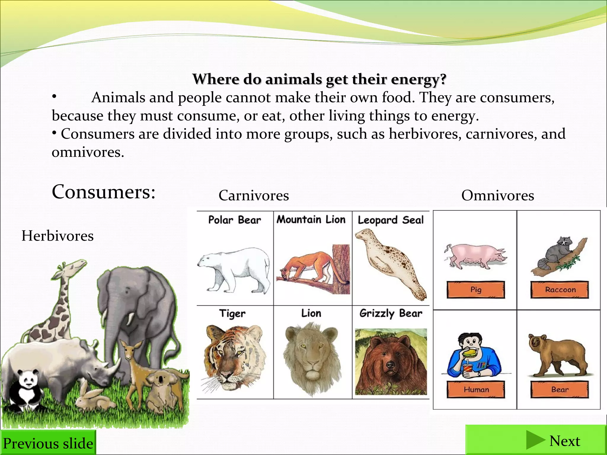 Food chains and food webs final | PPT