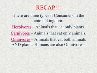 Food chains and food webs 2 | PPTX