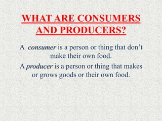 Food chains and food webs 2 | PPTX