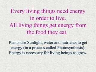 Food chains and food webs 2 | PPTX