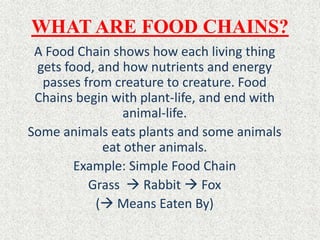 Food chains and food webs 2 | PPTX