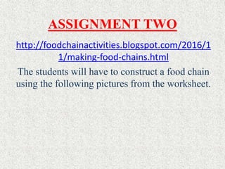 Food chains and food webs 2 | PPT