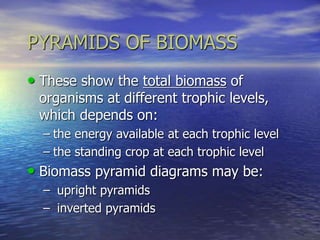 Food chains and pyramids 5 | PPT