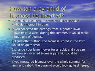 Food chains and pyramids 5 | PPT