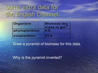 Food chains and pyramids 5 | PPT