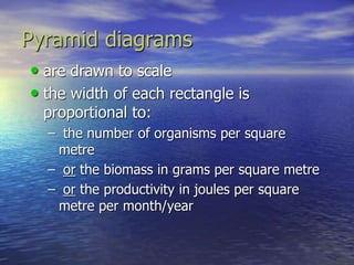 Food chains and pyramids 5 | PPT