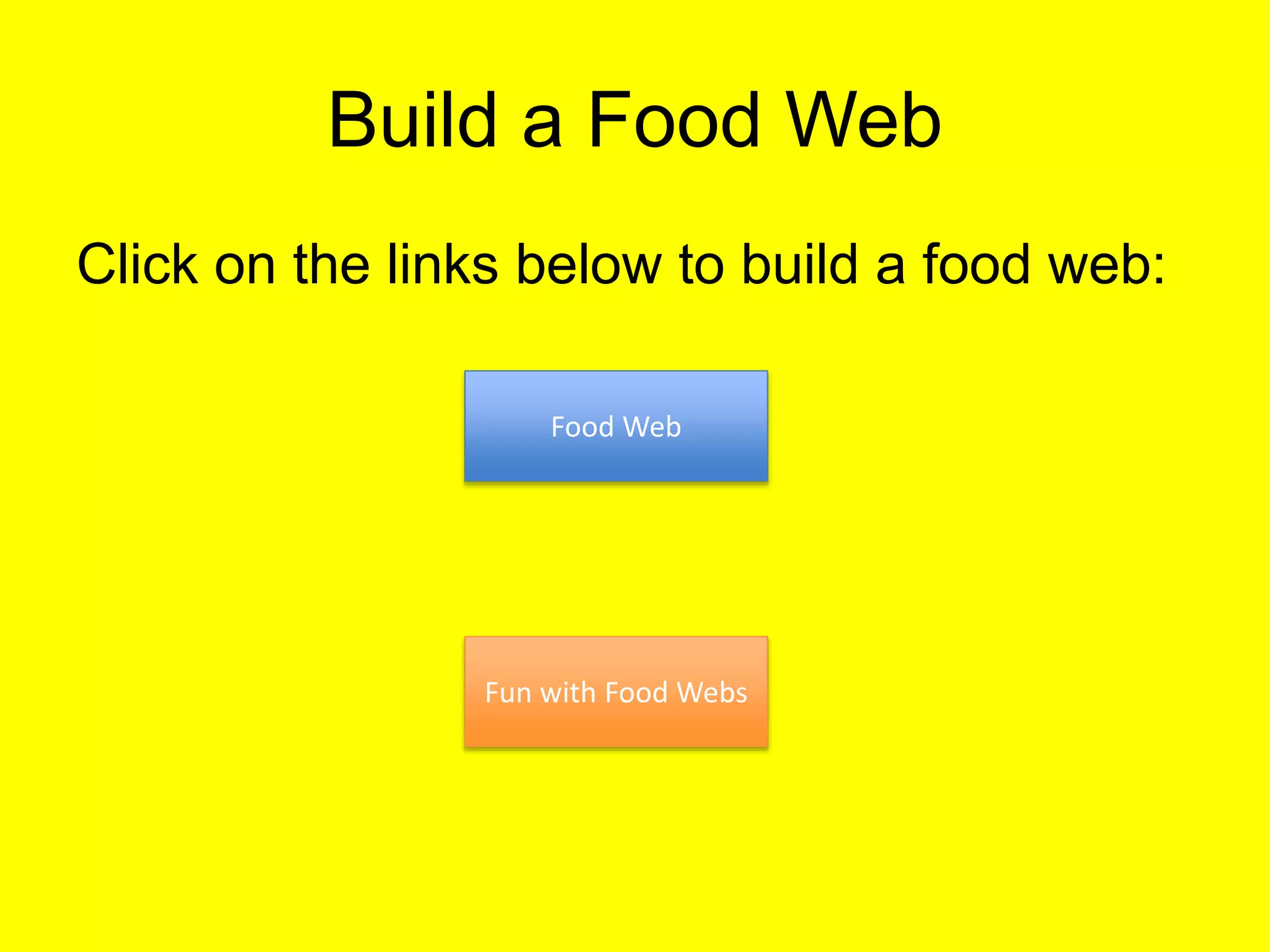food chains and webs powerpoint.ppt