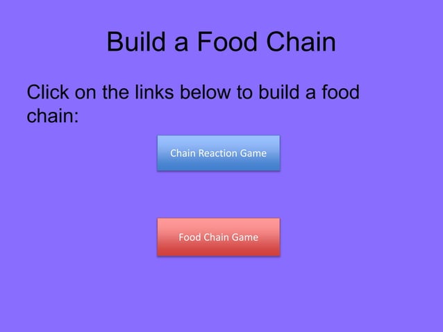 food chains and webs powerpoint.ppt
