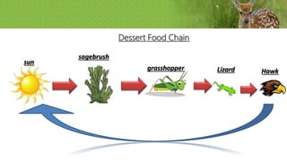 Food chains by Ammar Raed | PPT