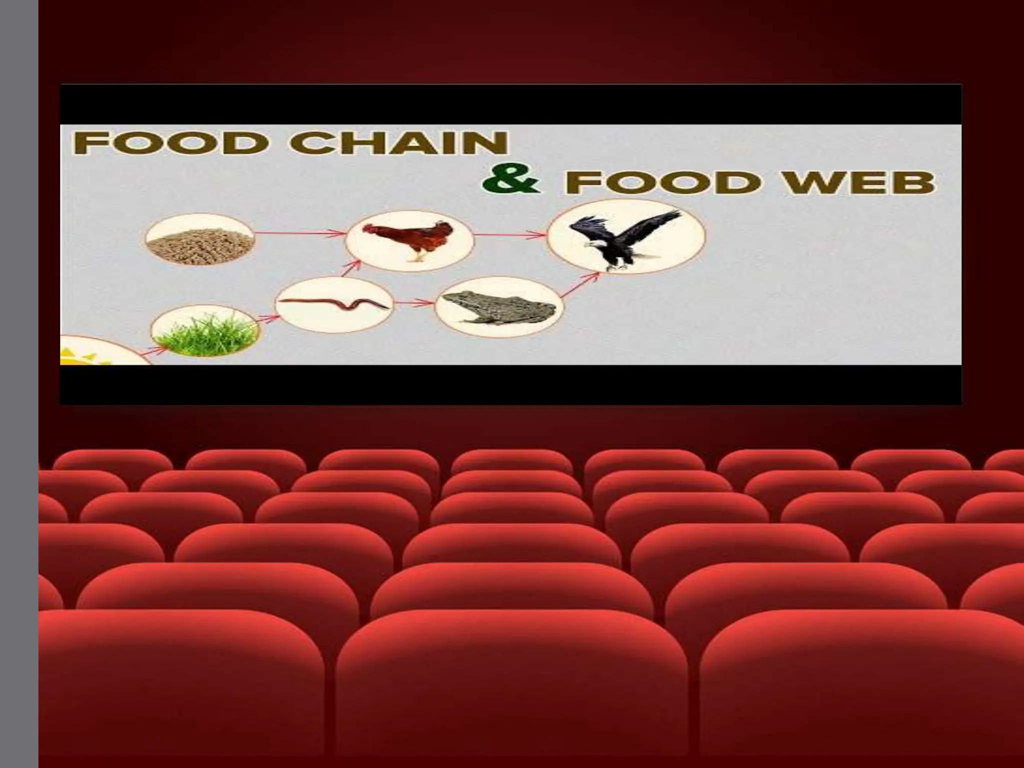 FoodChains CSEC PowerPoint Presentation for students | PPTX