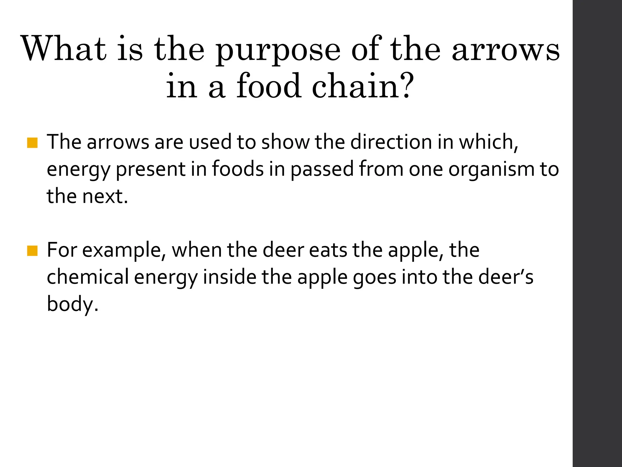 FoodChains CSEC PowerPoint Presentation for students | PPTX