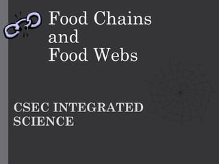 FoodChains CSEC PowerPoint Presentation for students | PPTX