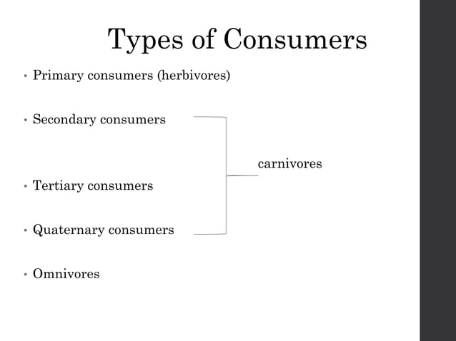 FoodChains CSEC PowerPoint Presentation for students | PPTX ...