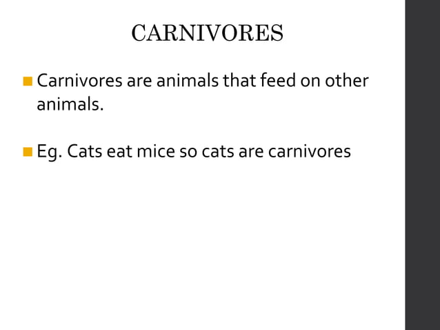 FoodChains CSEC PowerPoint Presentation for students | PPTX ...