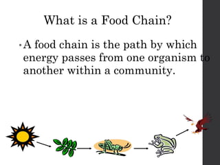 FoodChains CSEC PowerPoint Presentation for students | PPTX