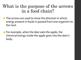 FoodChains CSEC PowerPoint Presentation for students | PPTX