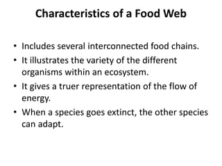 Understanding Food Chains and Food Webs: Ecological Energy Flow and ...