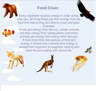 Food chain SMARTboard Lesson - Justine Foster | PPTX | Biological ...