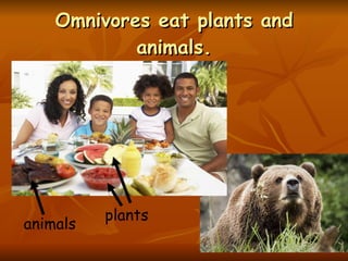 Food chains ppt for ncvps | PPT