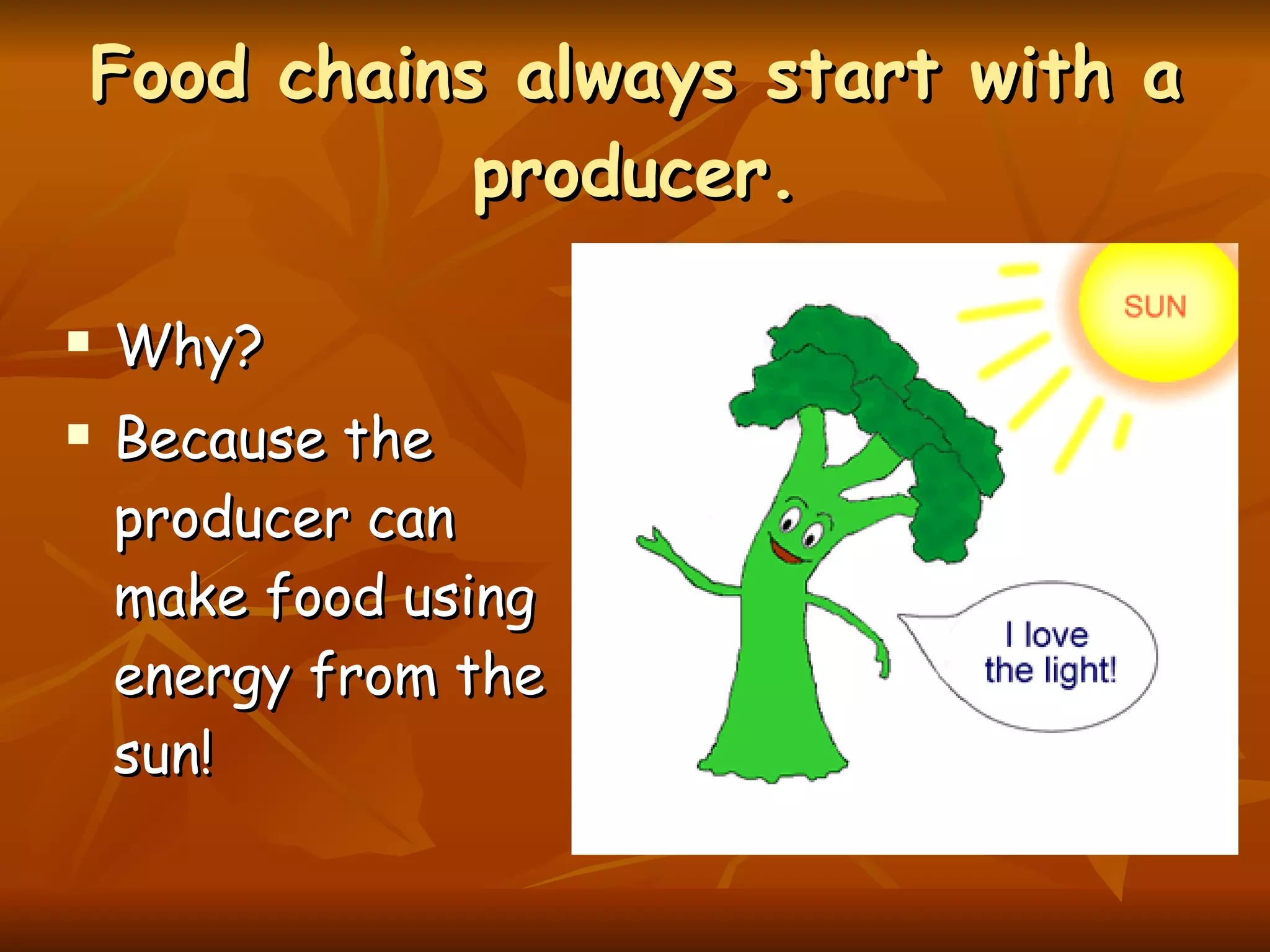 Food chains ppt for ncvps | PPT