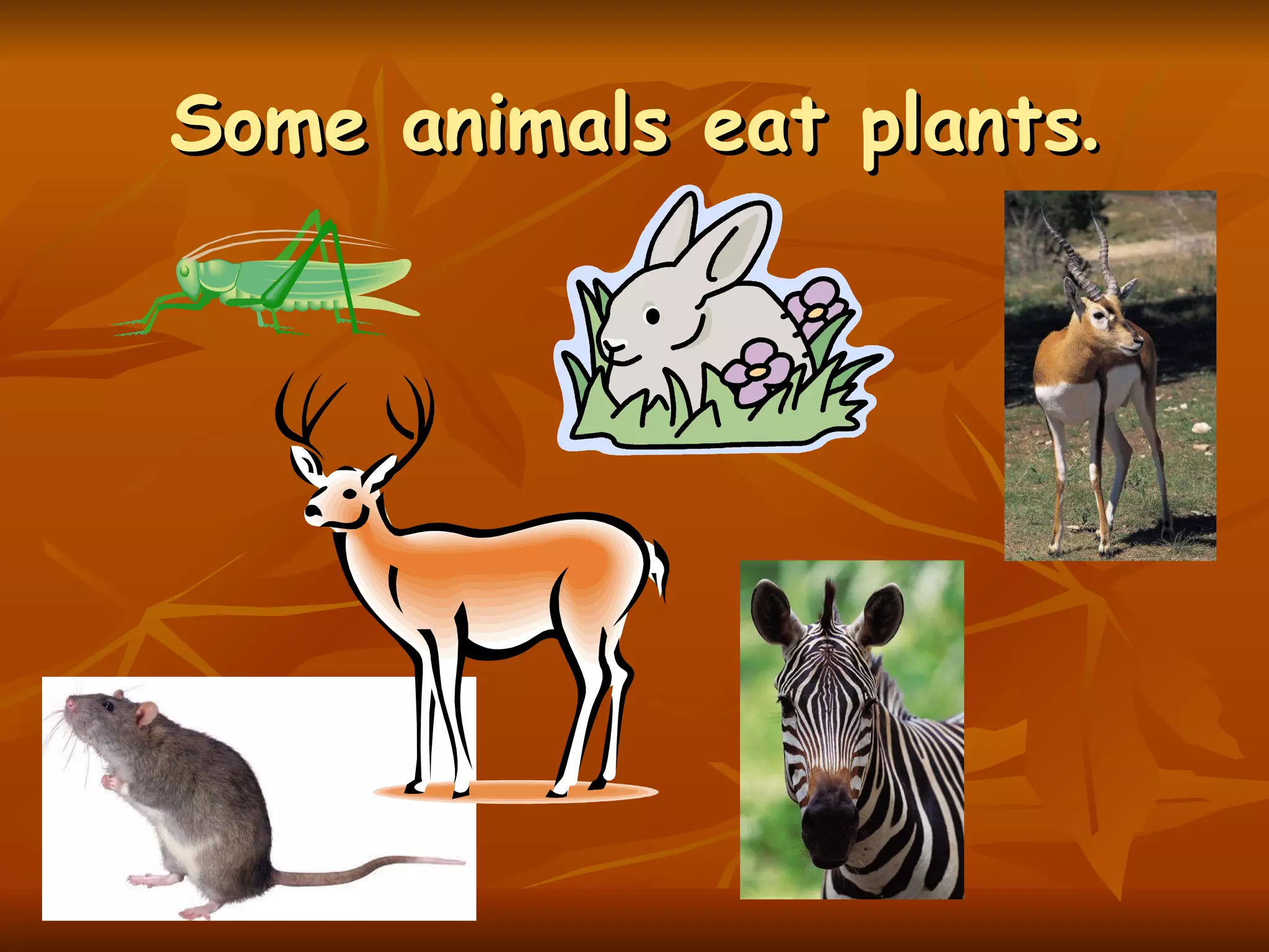 Food chains ppt for ncvps | PPT