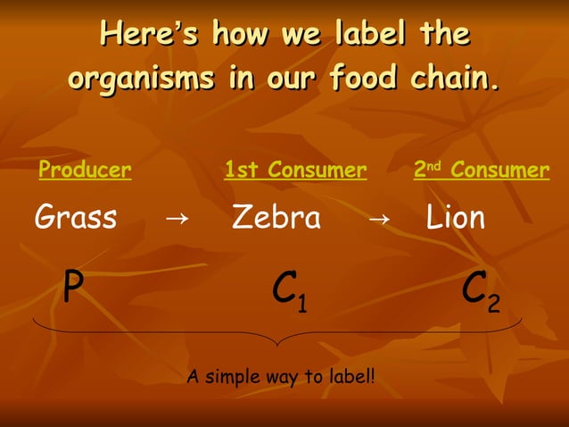 Food chains ppt for ncvps | PPT