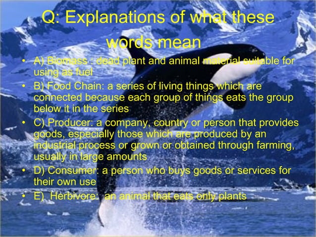 Food chains project | PPT