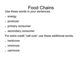 Food chains project | PPT