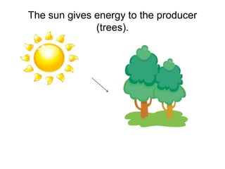 Food chains project | PPTX