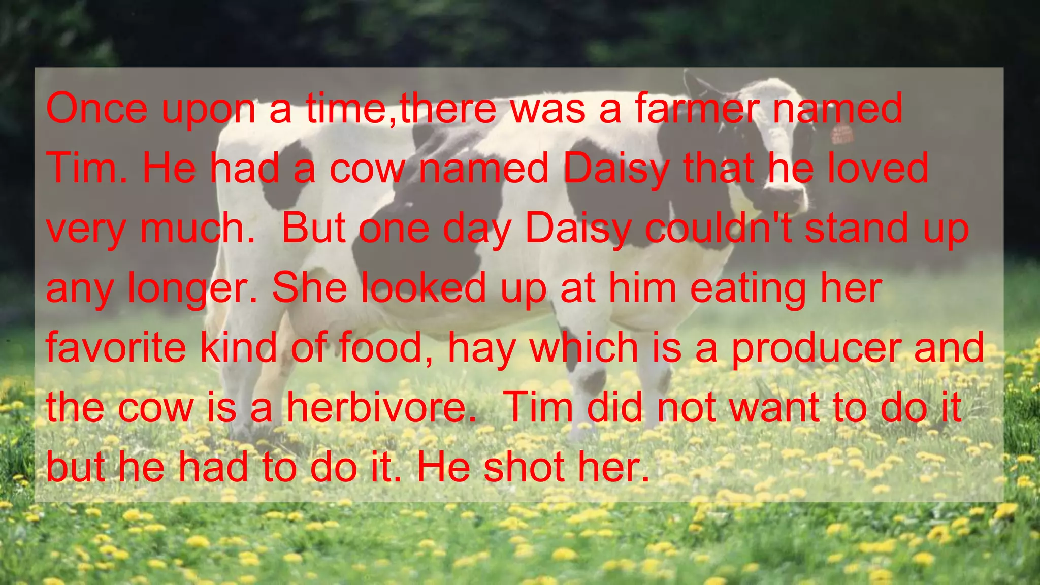 Food chain story | PPTX