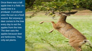 Food chain story | PPT