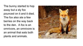 Food chain story | PPTX