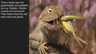Food chain story (3) | PPTX