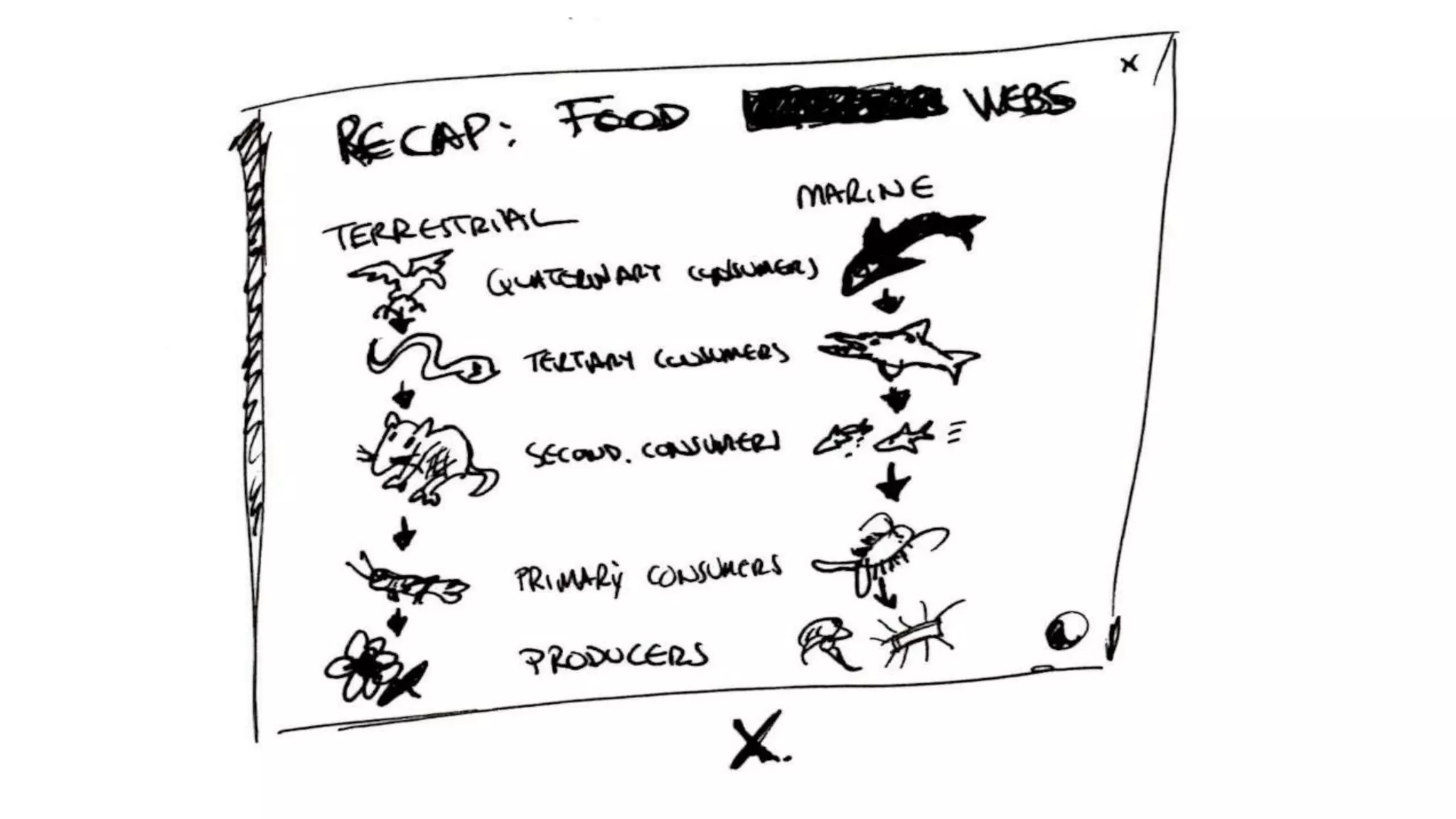 Food Chain Storyboard for #SOyER1314 | PPTX