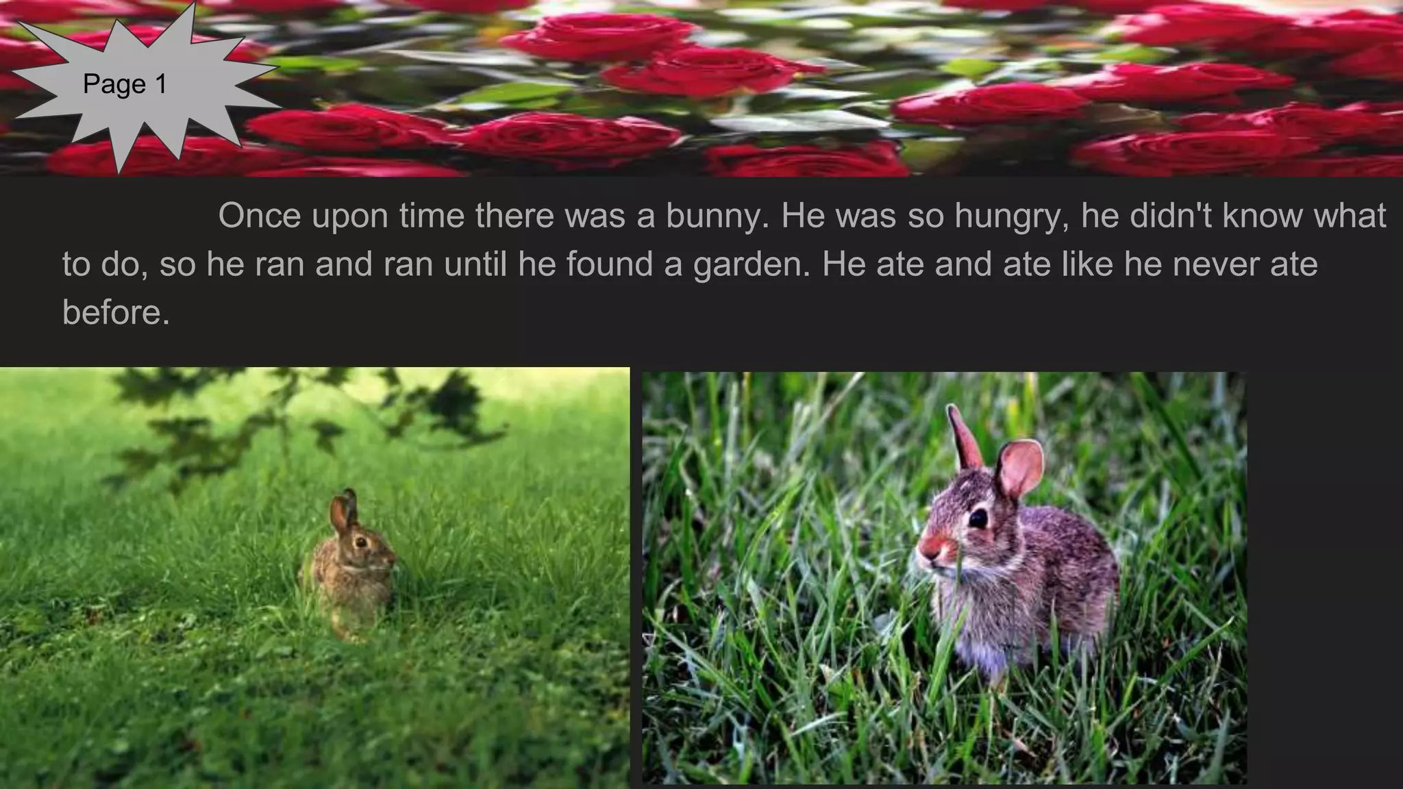 Food Chain Story | PPTX | Zoos & Aquariums | Attractions