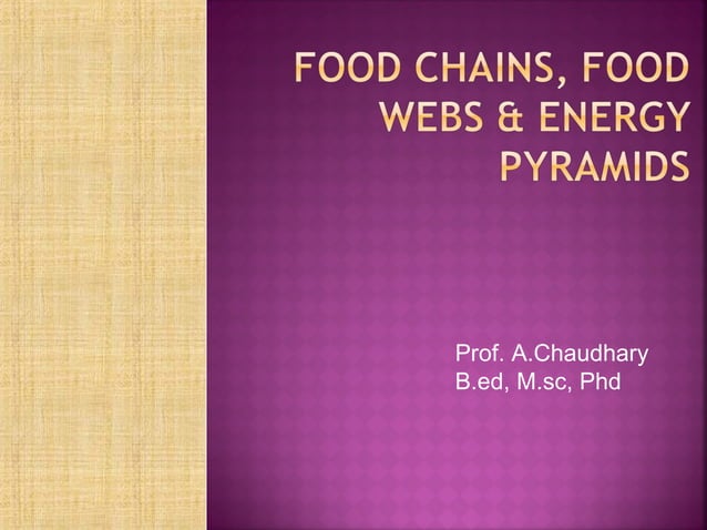 Food chains vs food web (p.a.c 2015) | PPT