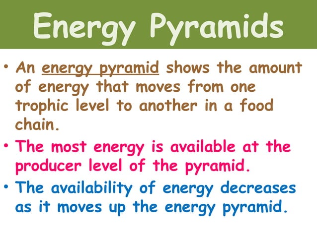 Food_Chains_Webs_and_Energy_Pyramids_Ppt.pptx | Biological Sciences ...