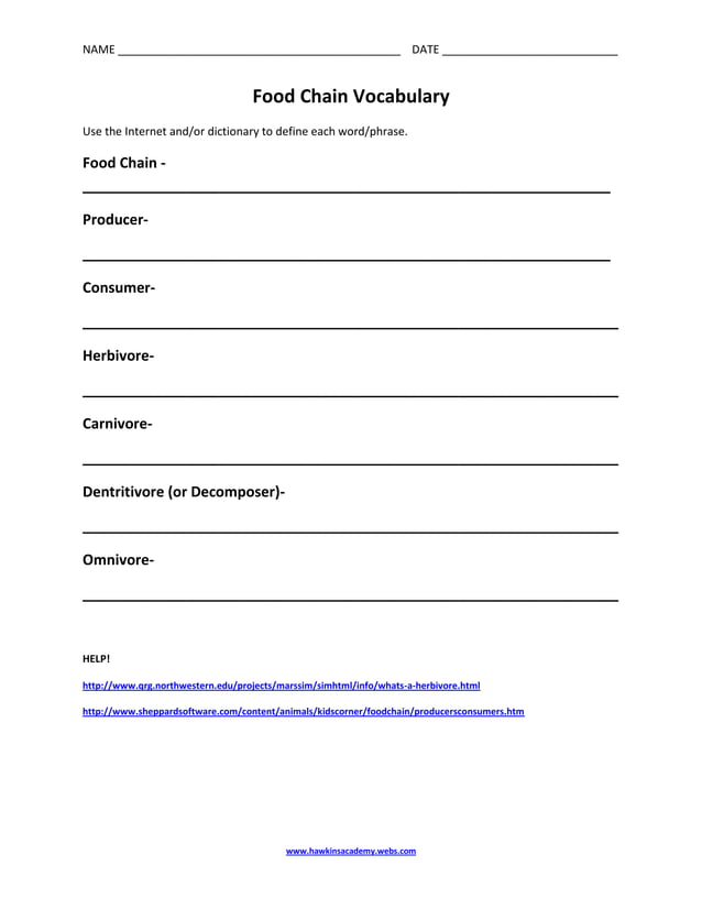 Food Chain vocabulary | DOCX