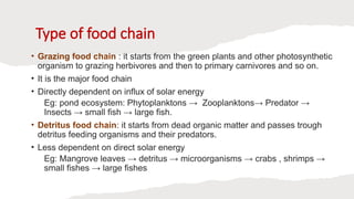 FOOD CHAIN,WEB AND NICHE .pptx