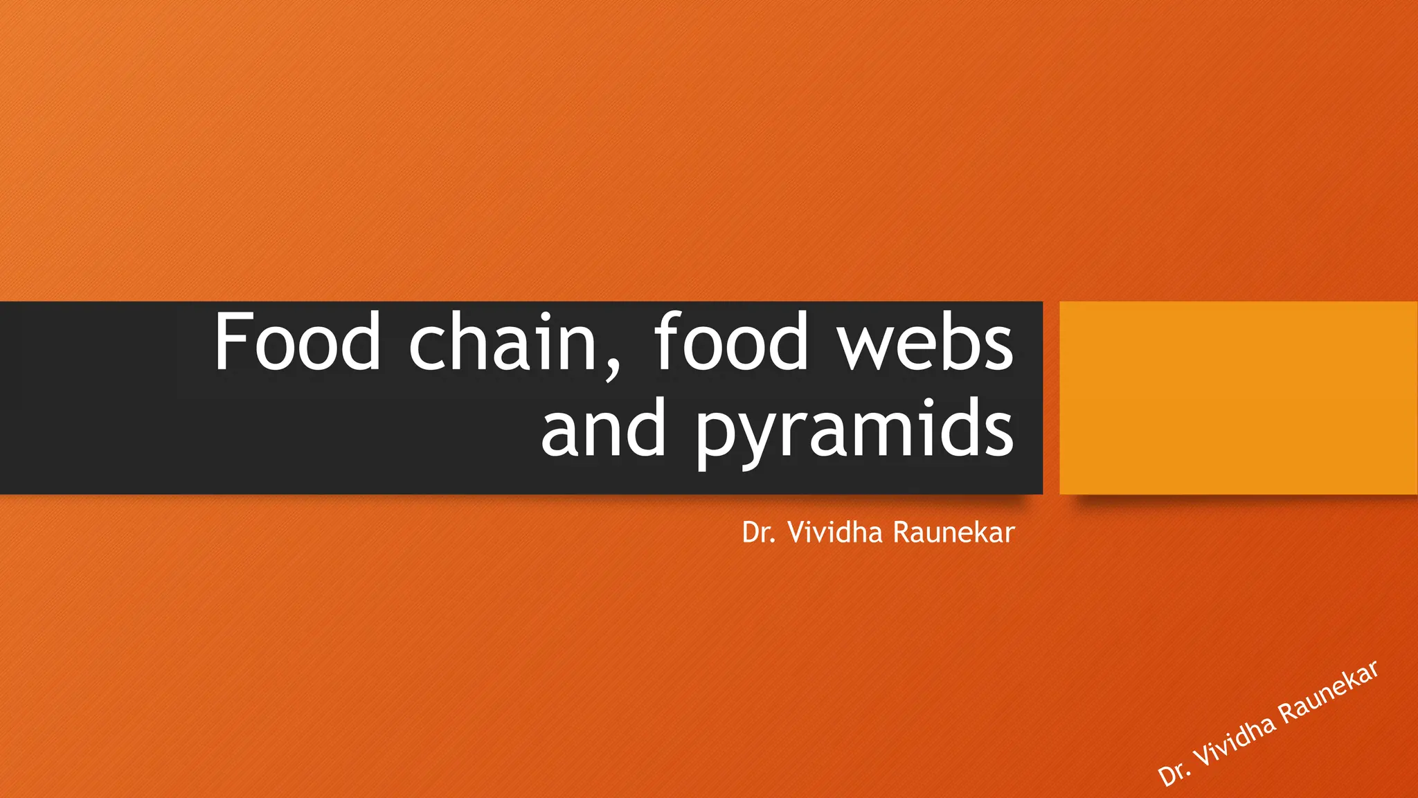 Food chain, web, pyramids and interconnected view of ecological ...