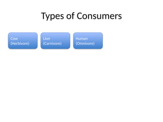 Food_Chain_With_Diagrams. For the simple waypptx | PPTX