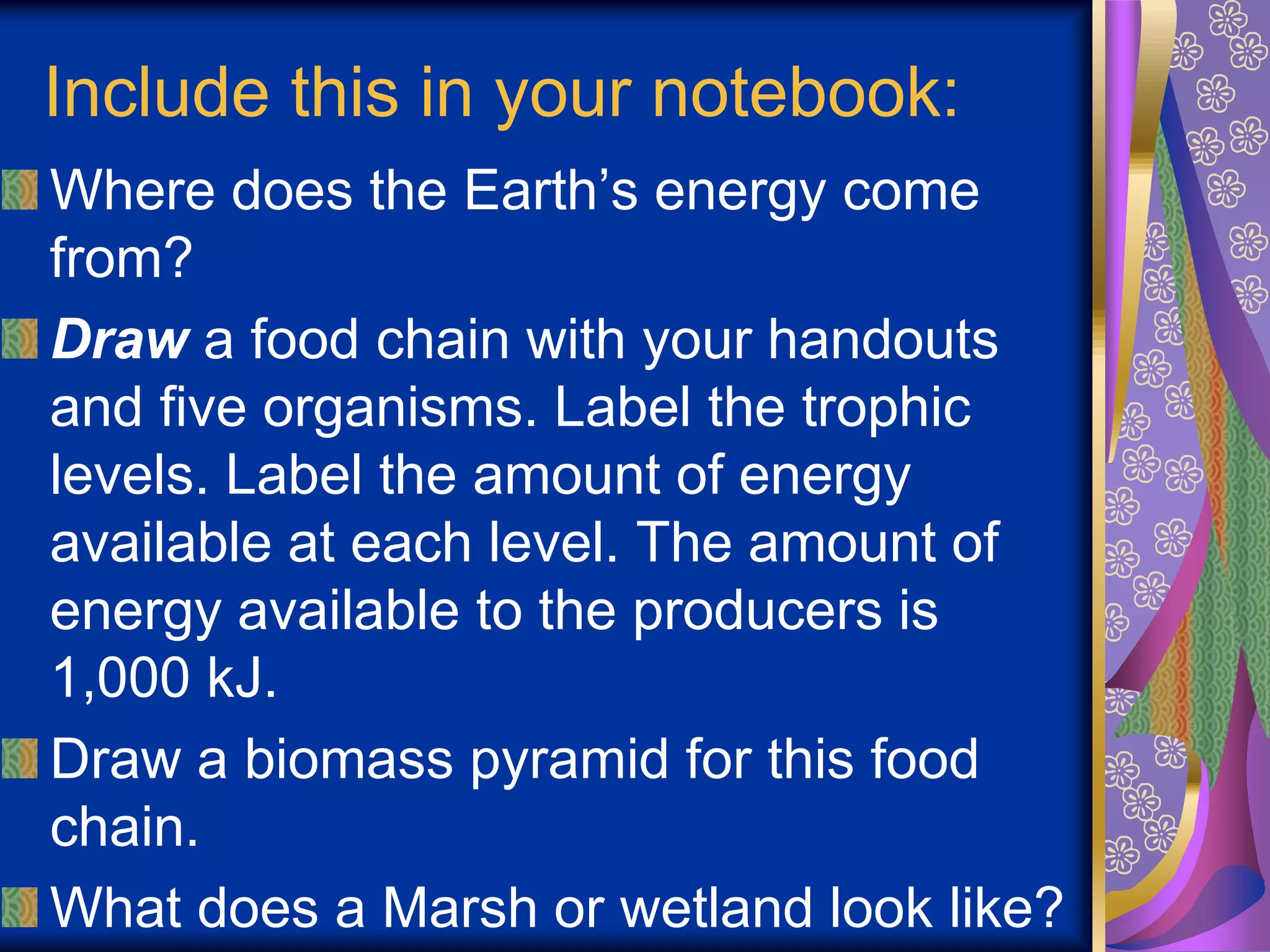 Food chain work for thurs aug 23 | PPT | Free Download