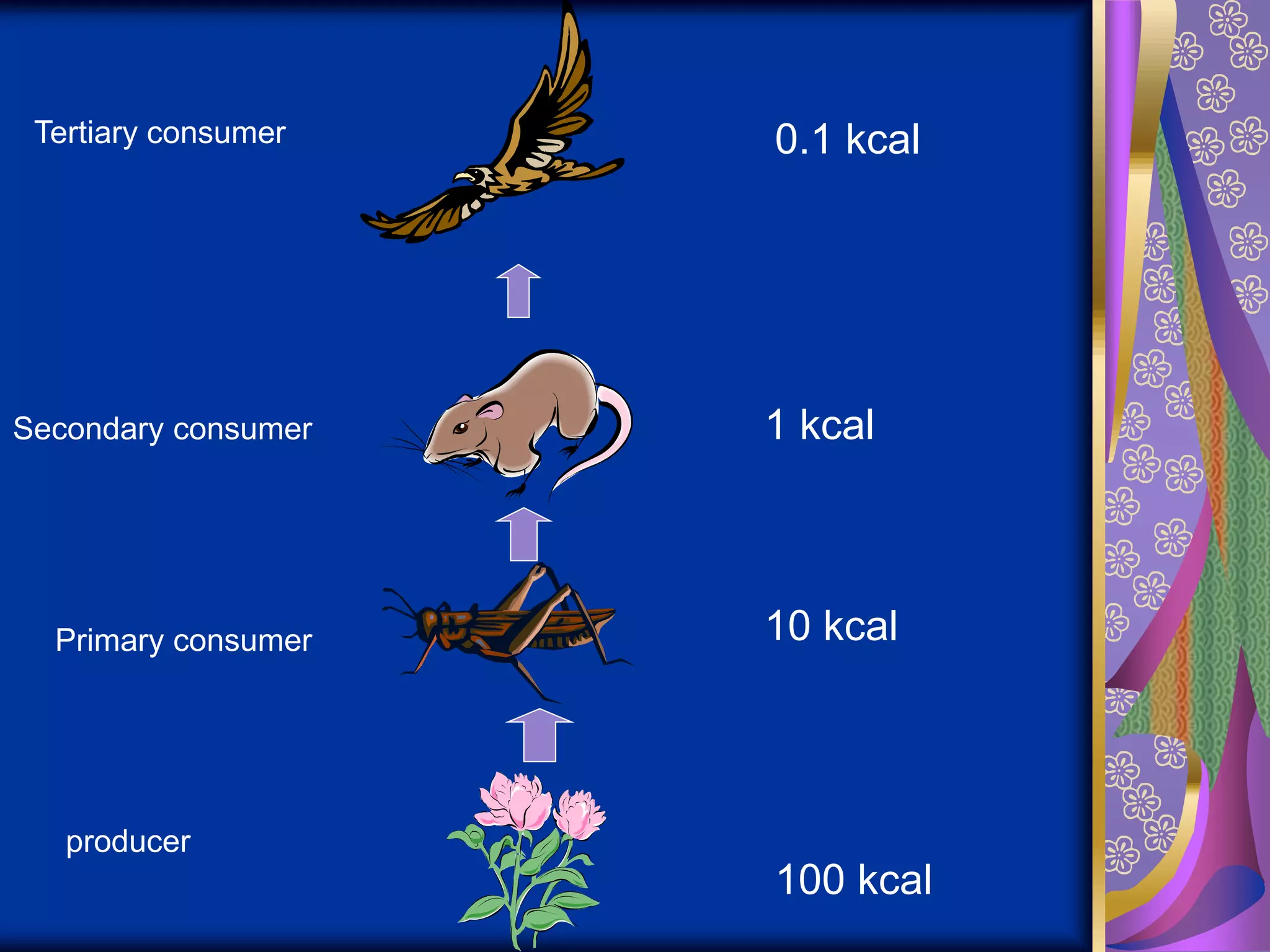 Food chain work for thurs aug 23 | PPT | Free Download