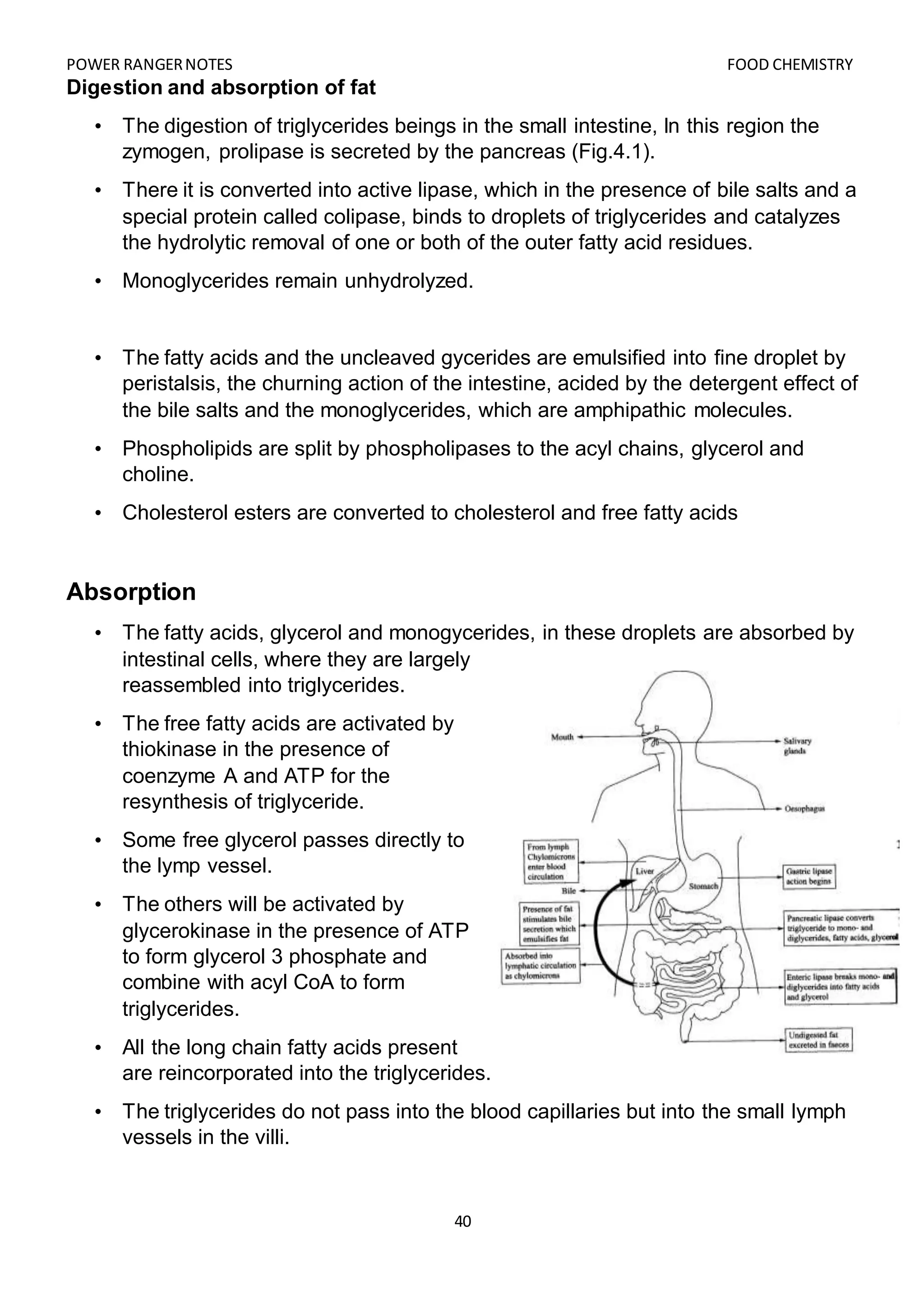 Food chemistry 2nd sem (full sylabus) | DOCX