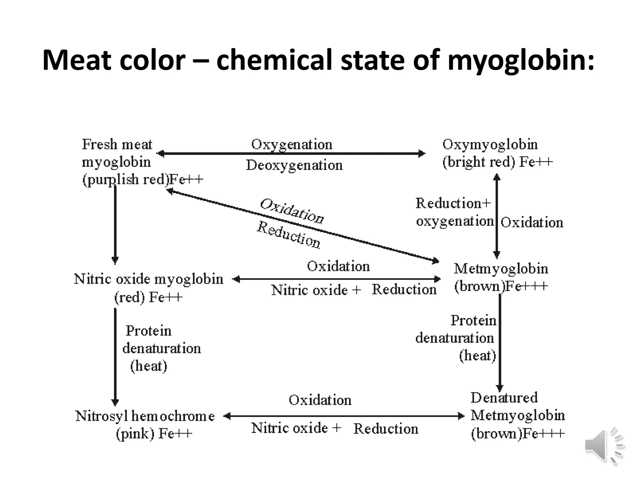Food Chemistry - Color and pigments in Food_Part 3.pptx