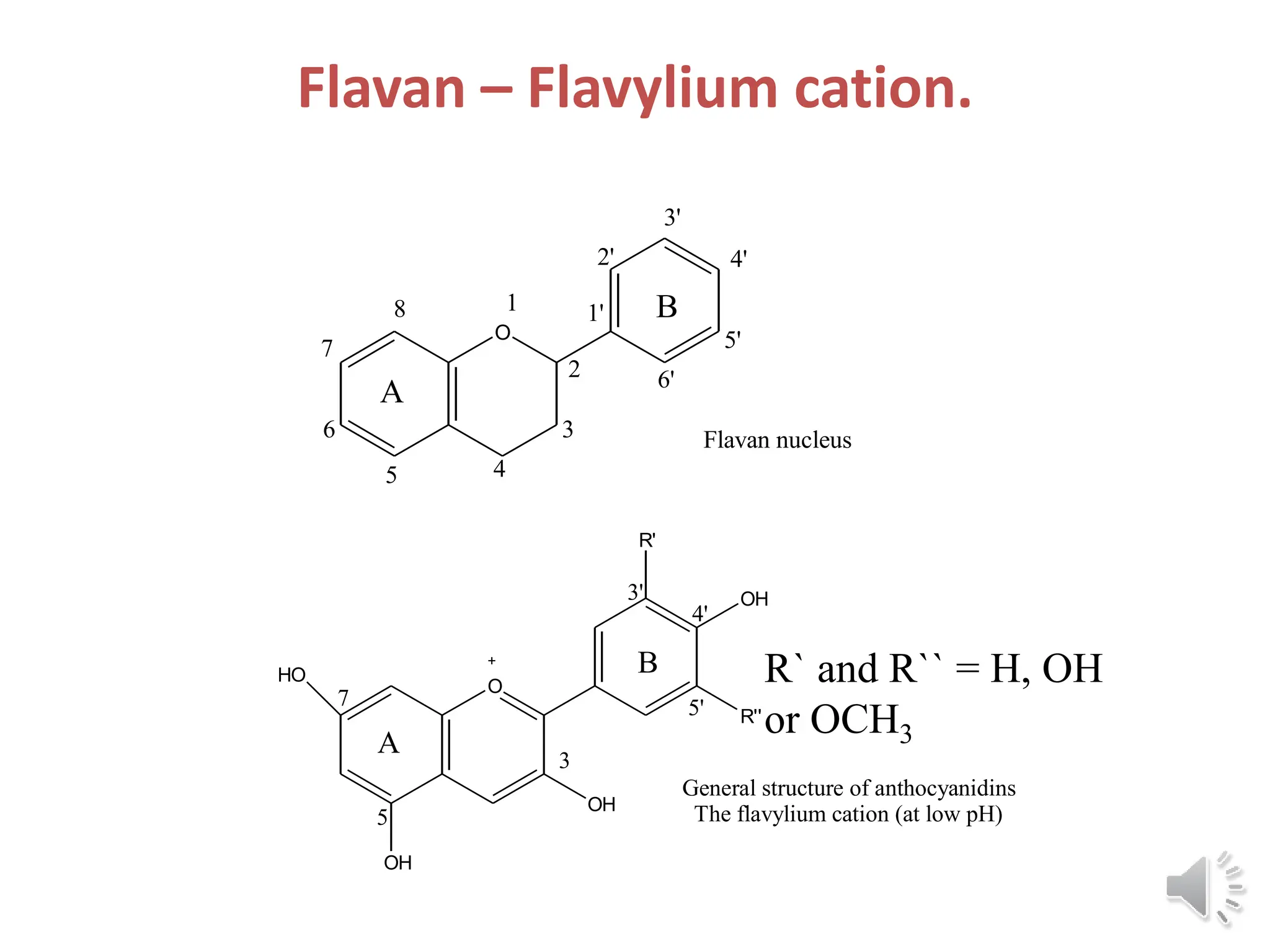Food Chemistry - Color and pigments in Food_Part 3.pptx