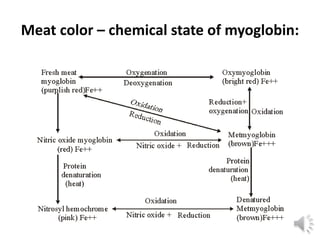 Food Chemistry - Color and pigments in Food_Part 3.pptx
