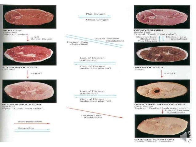 Food Chemistry - Color and pigments in Food_Part 3.pptx
