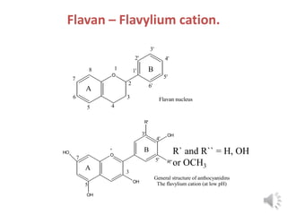 Food Chemistry - Color and pigments in Food_Part 3.pptx