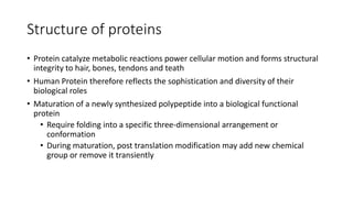 proteins food chemistry, its structure ,efficiency, deficiency, net ...